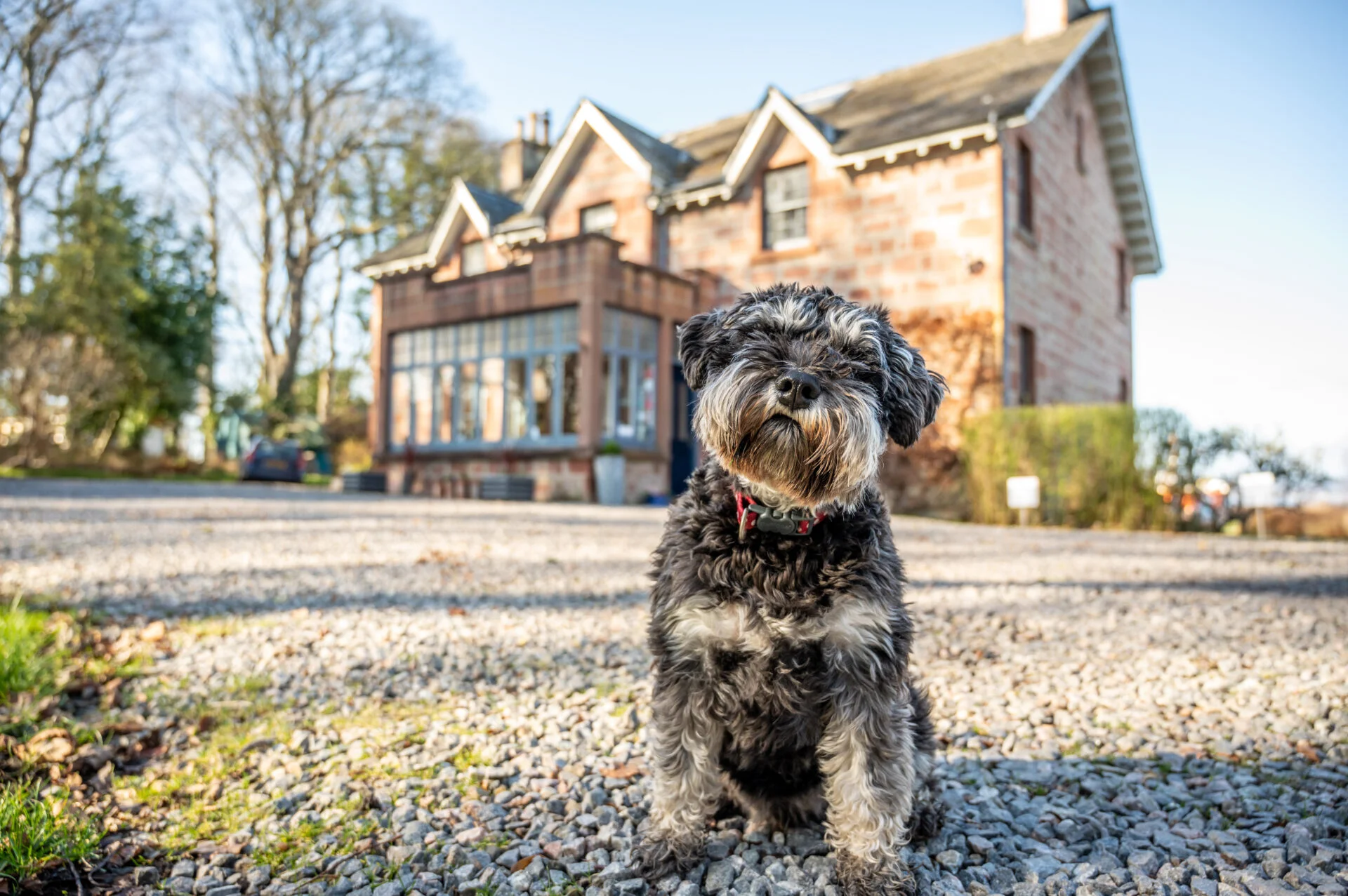 Terms & Conditions - Factor's House - Country House Cromarty